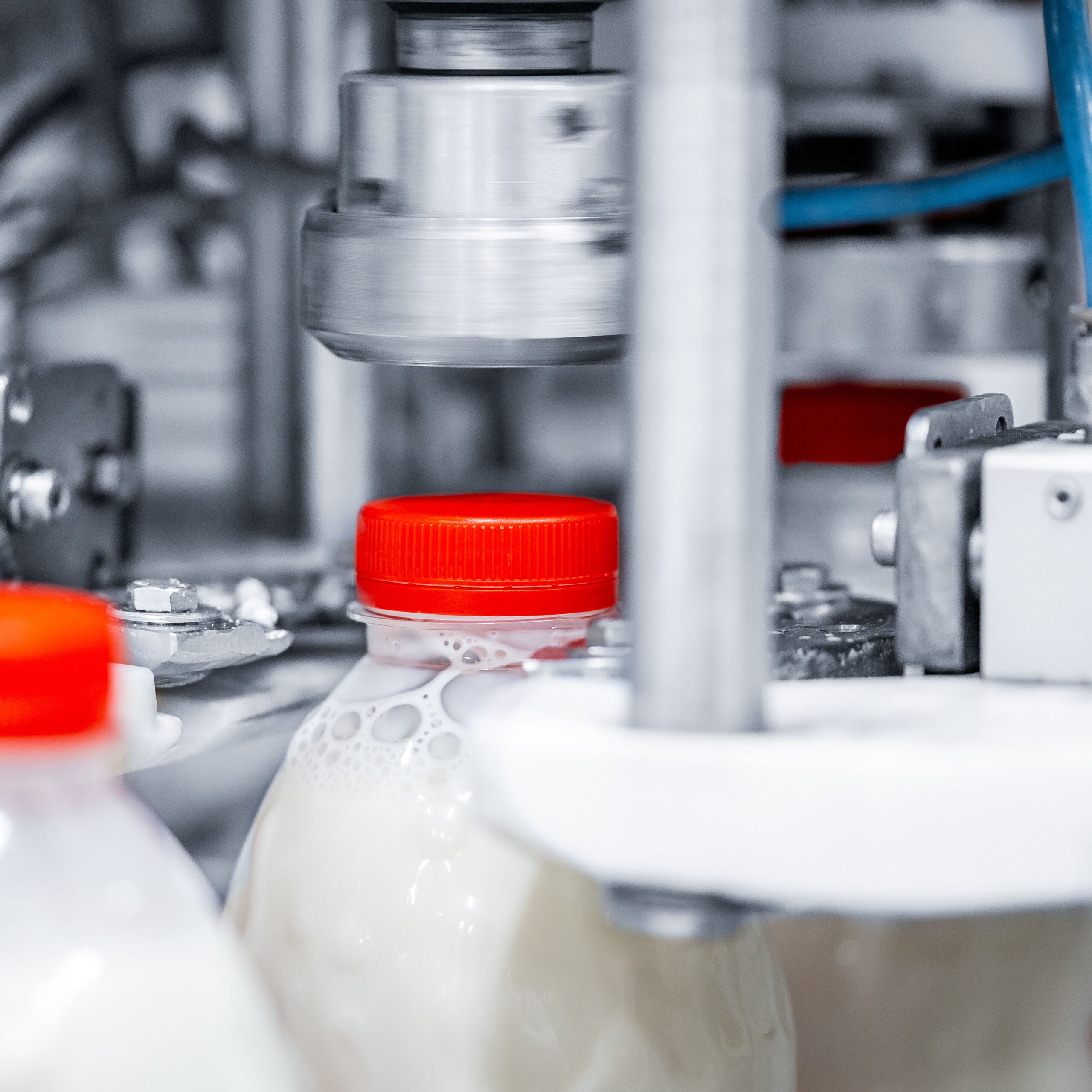 Get to Know the Northeastern Dairy Product Innovation Competition ...