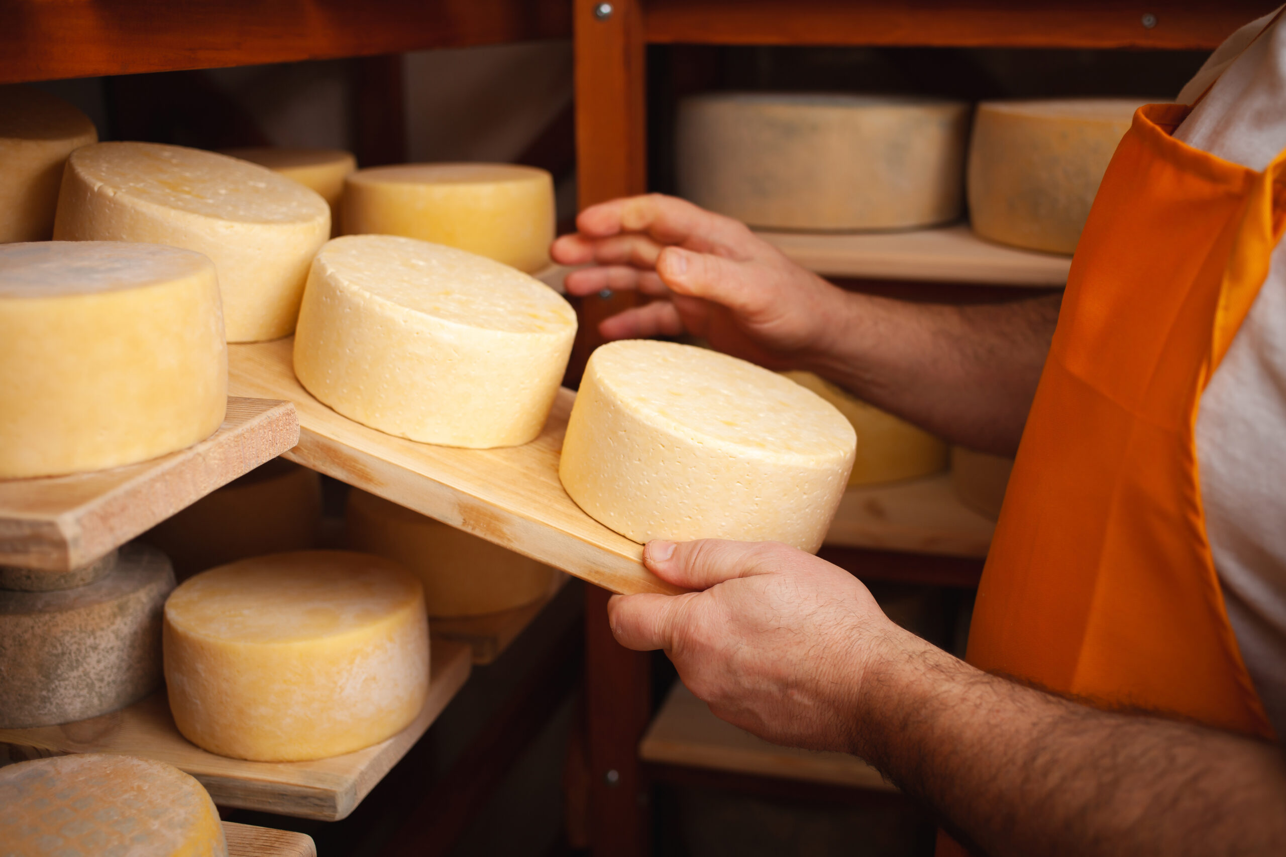 Dairy Runway Opens Applications for Third Round – Dairy Innovation Program